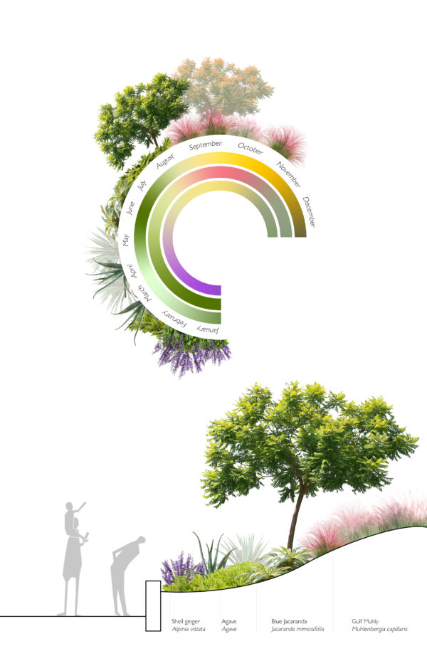 How to Arrange Plants in Landscape Design – Landscape Architecture
