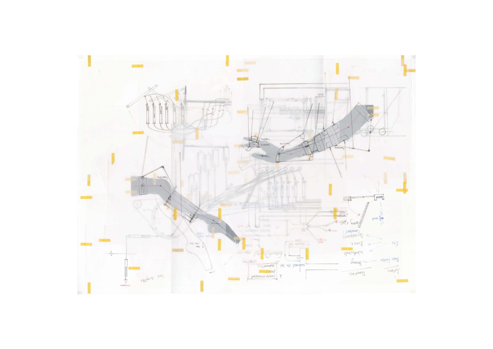 PARA-SITE ROOM – Landscape Architecture