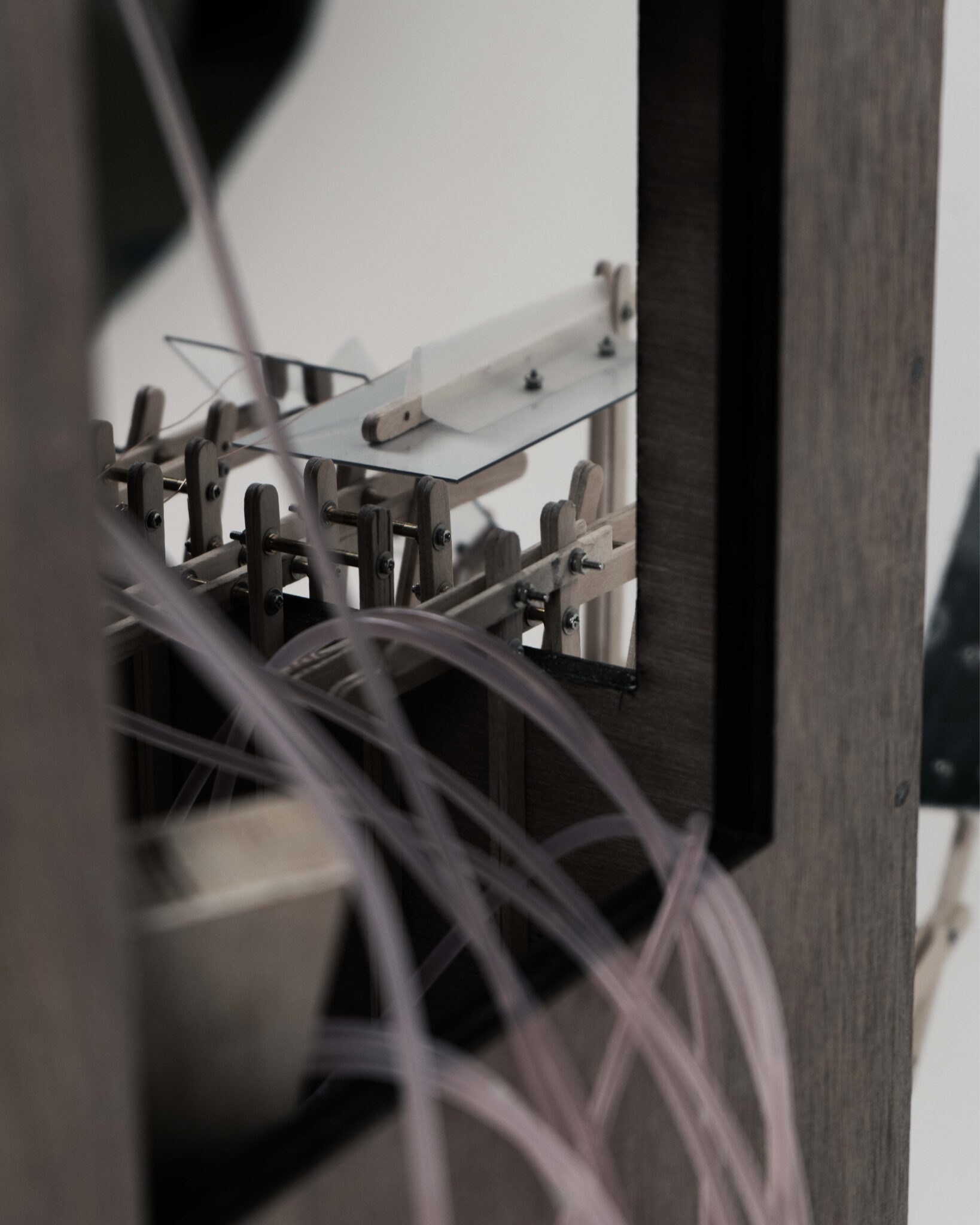 PARA-SITE ROOM – Landscape Architecture
