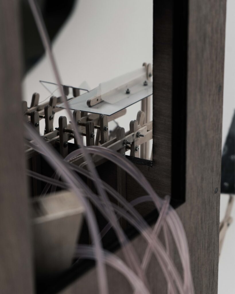 PARA-SITE ROOM – Landscape Architecture